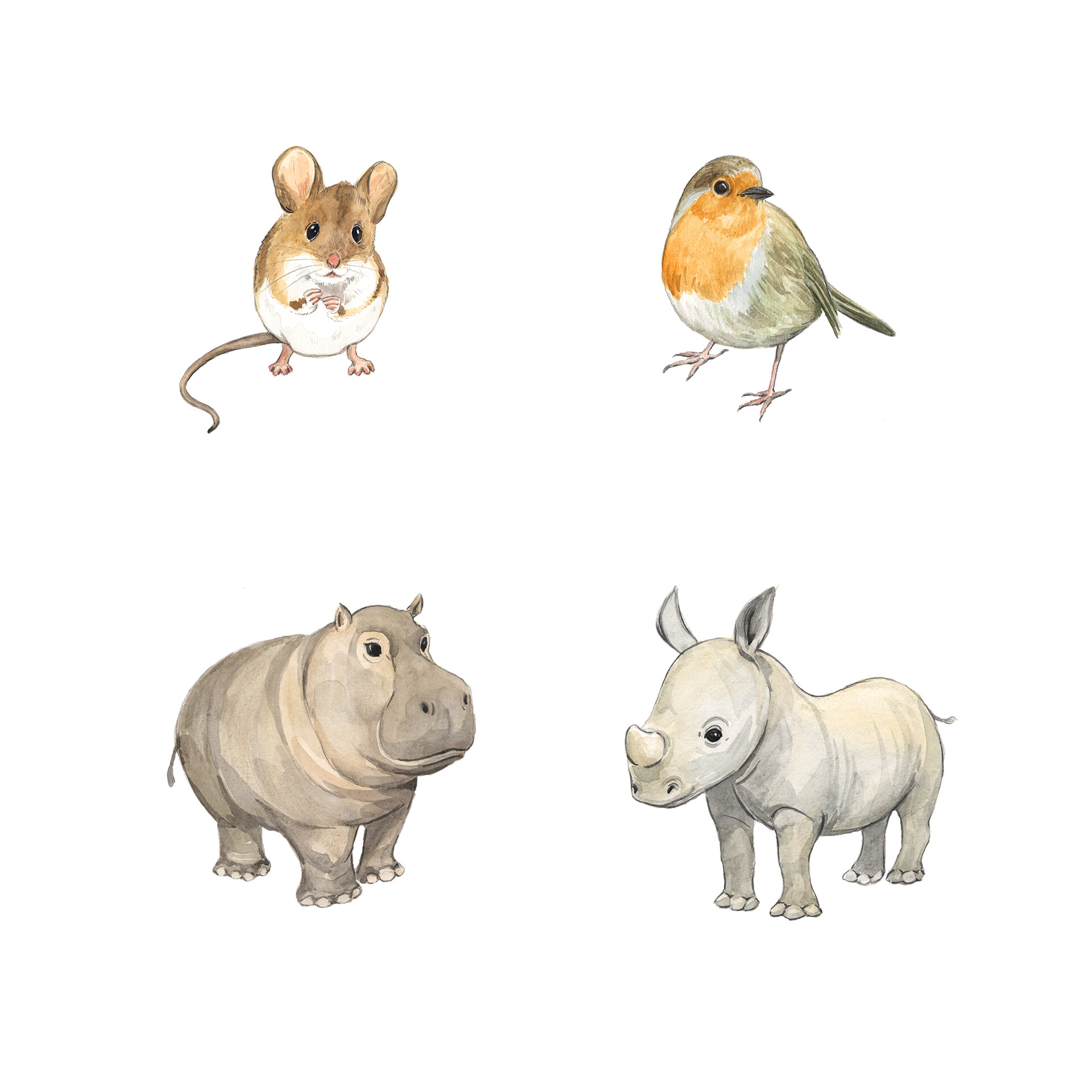 Ana Nikolova - Animal world