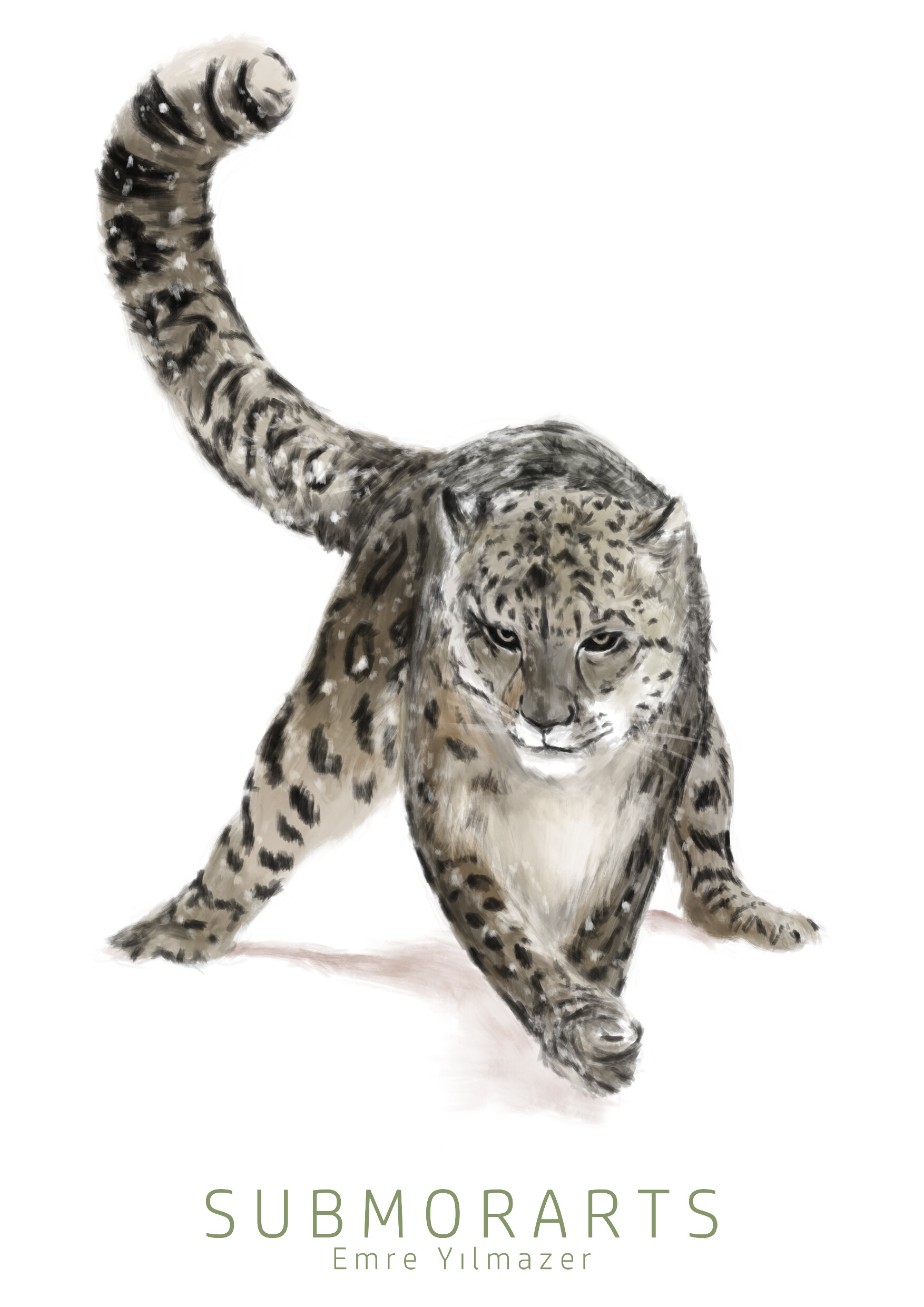 ArtStation - Snow Leopard (Study #1)