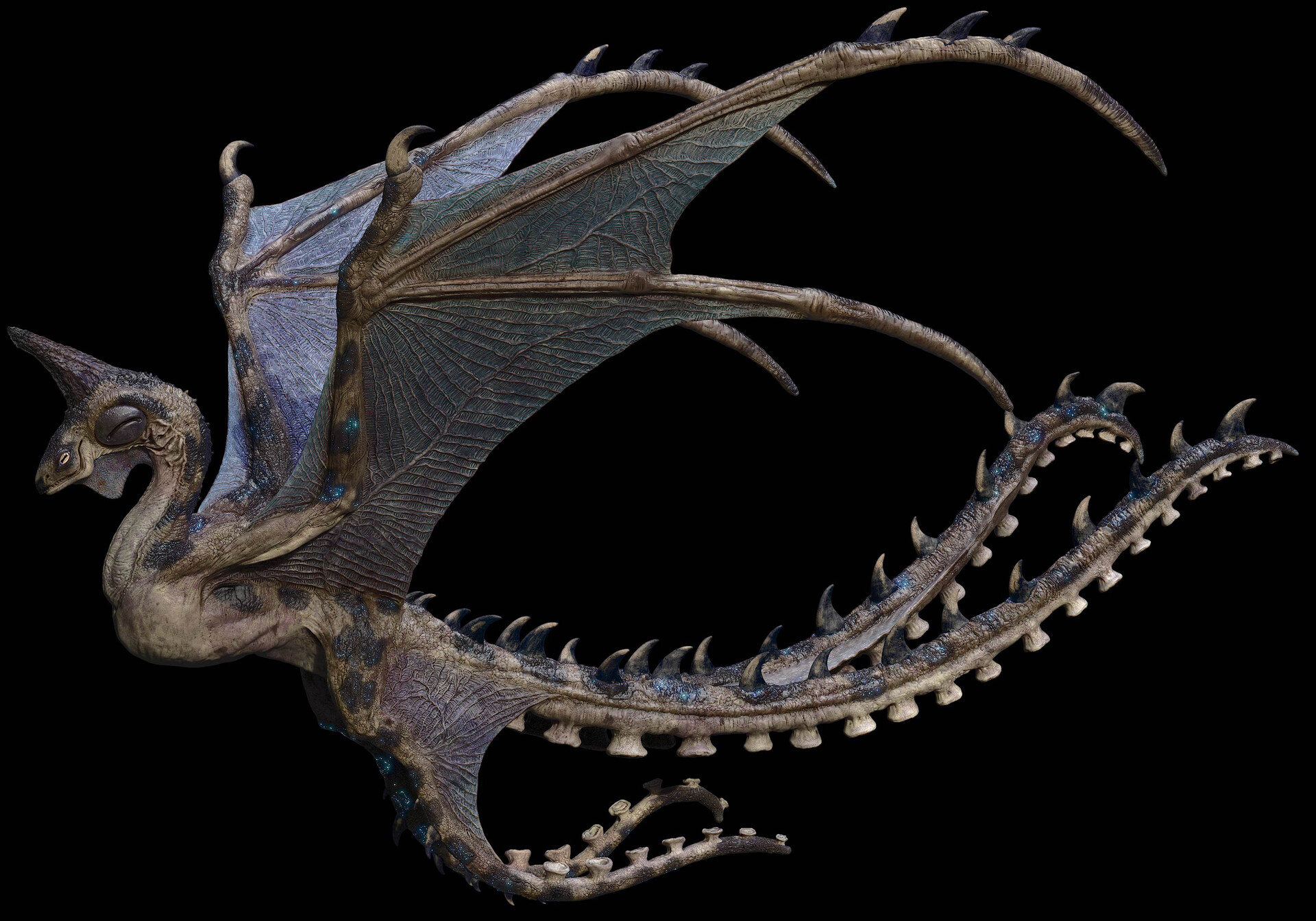 how to draw octopus dragon