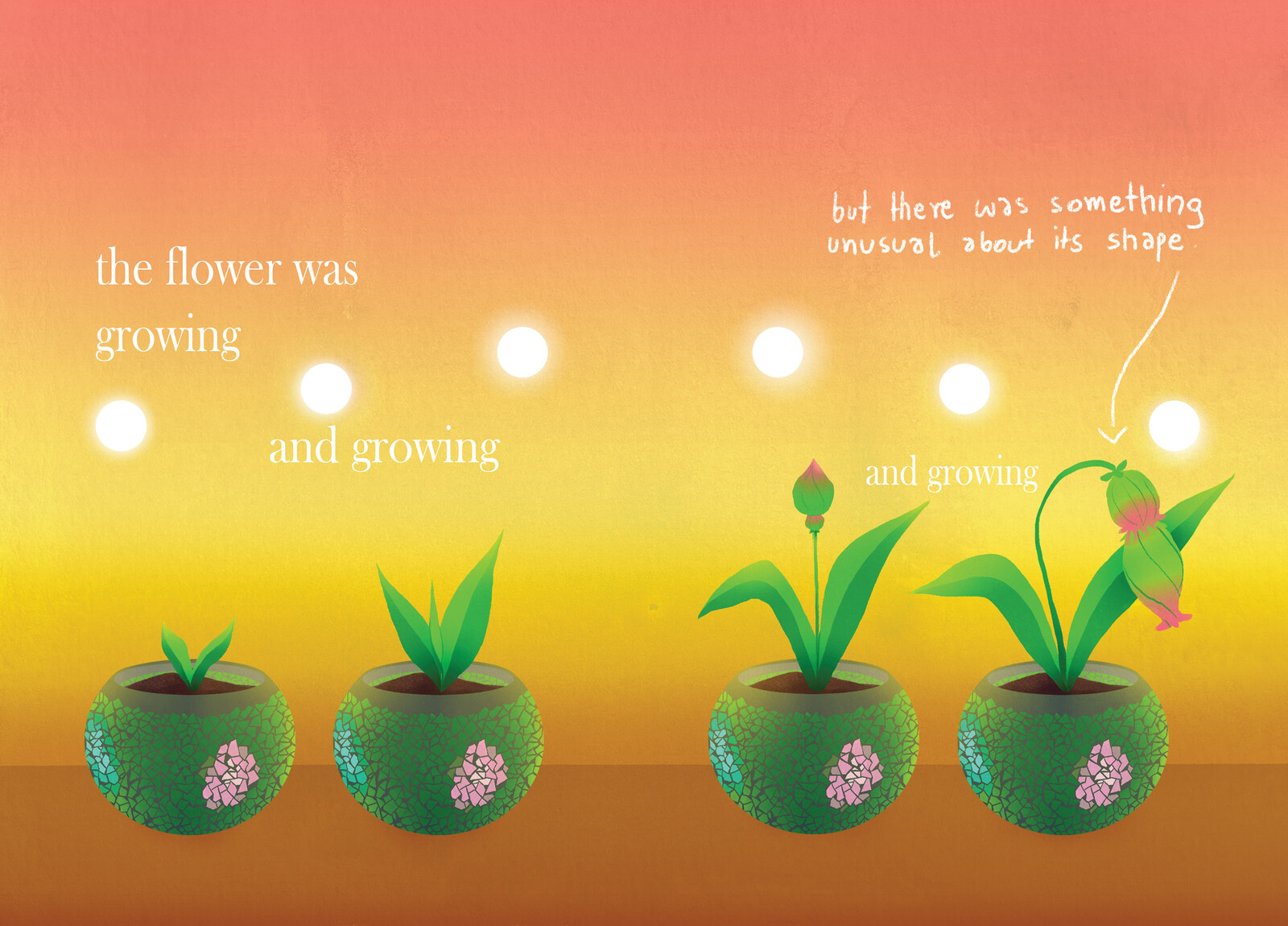 Roza Wisniowolska - Magic Flowerpot - Children's Book