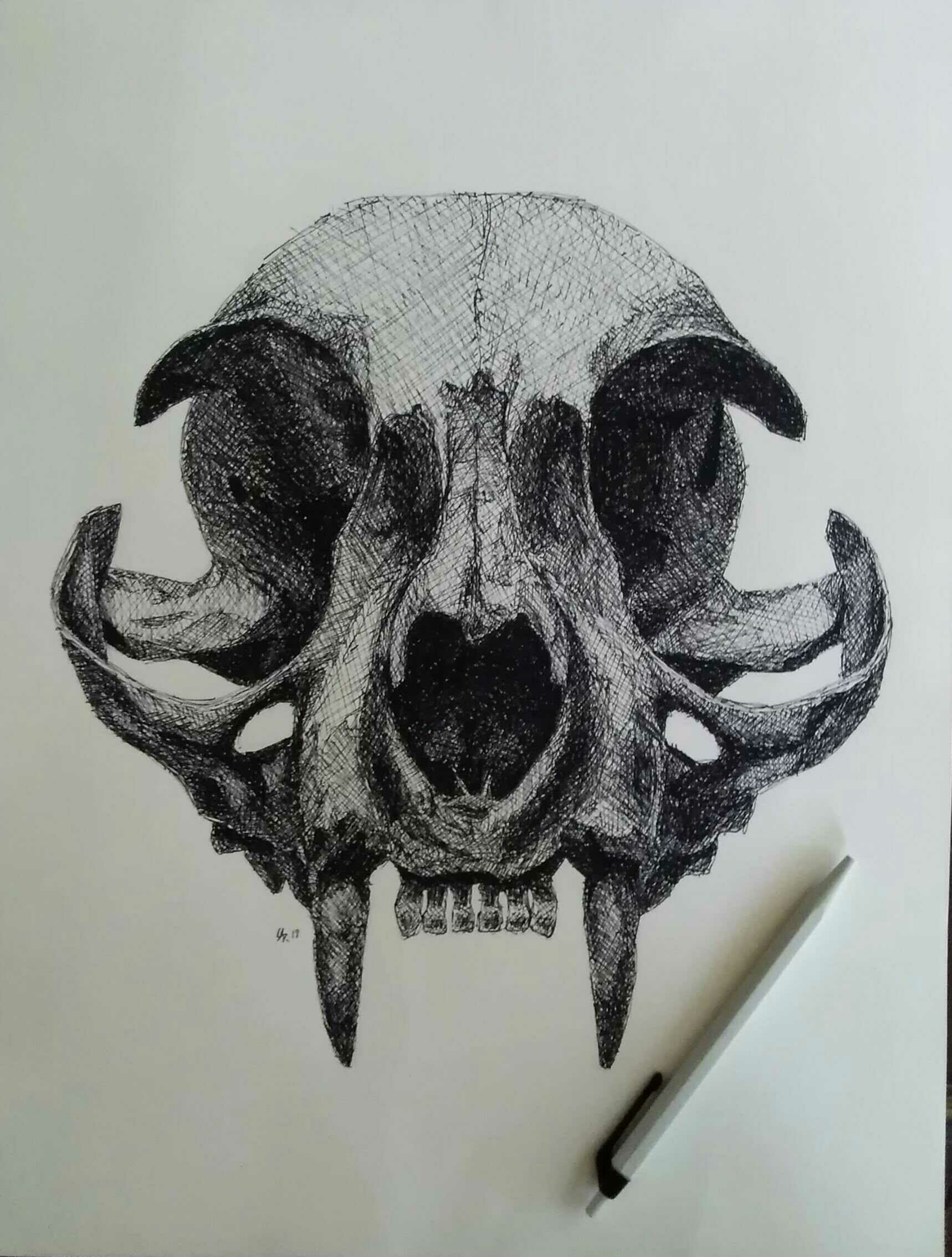 how to draw cat skull