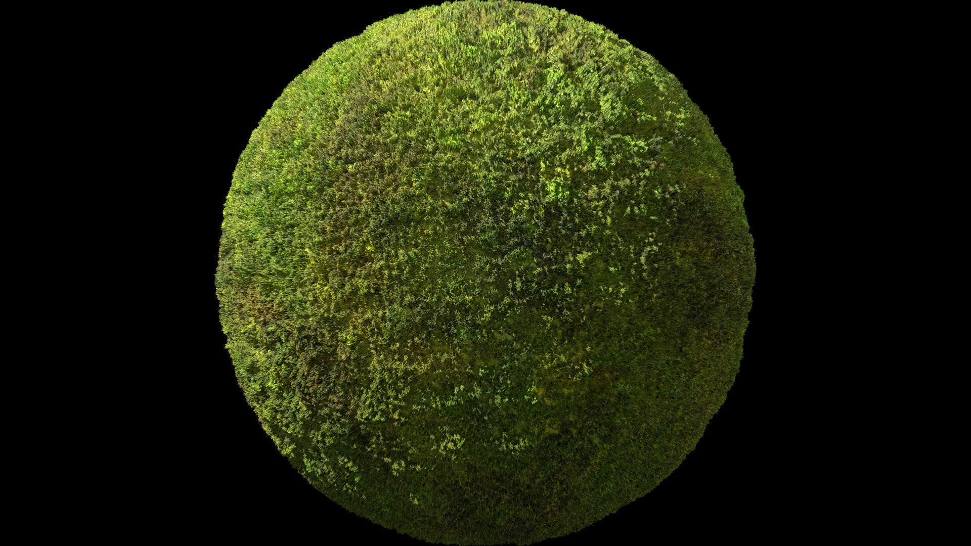 ArtStation - 73. Moss#01 [STORE]