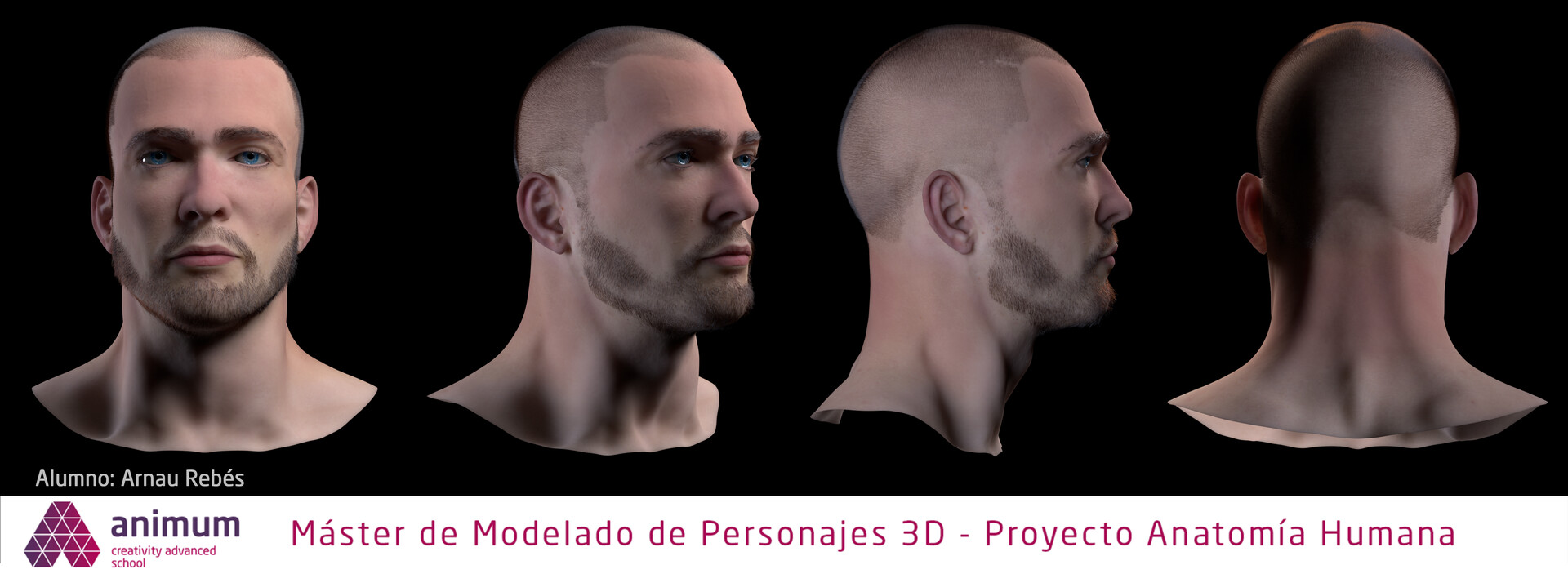 Arnau Rebés - Male Head Anatomy Study