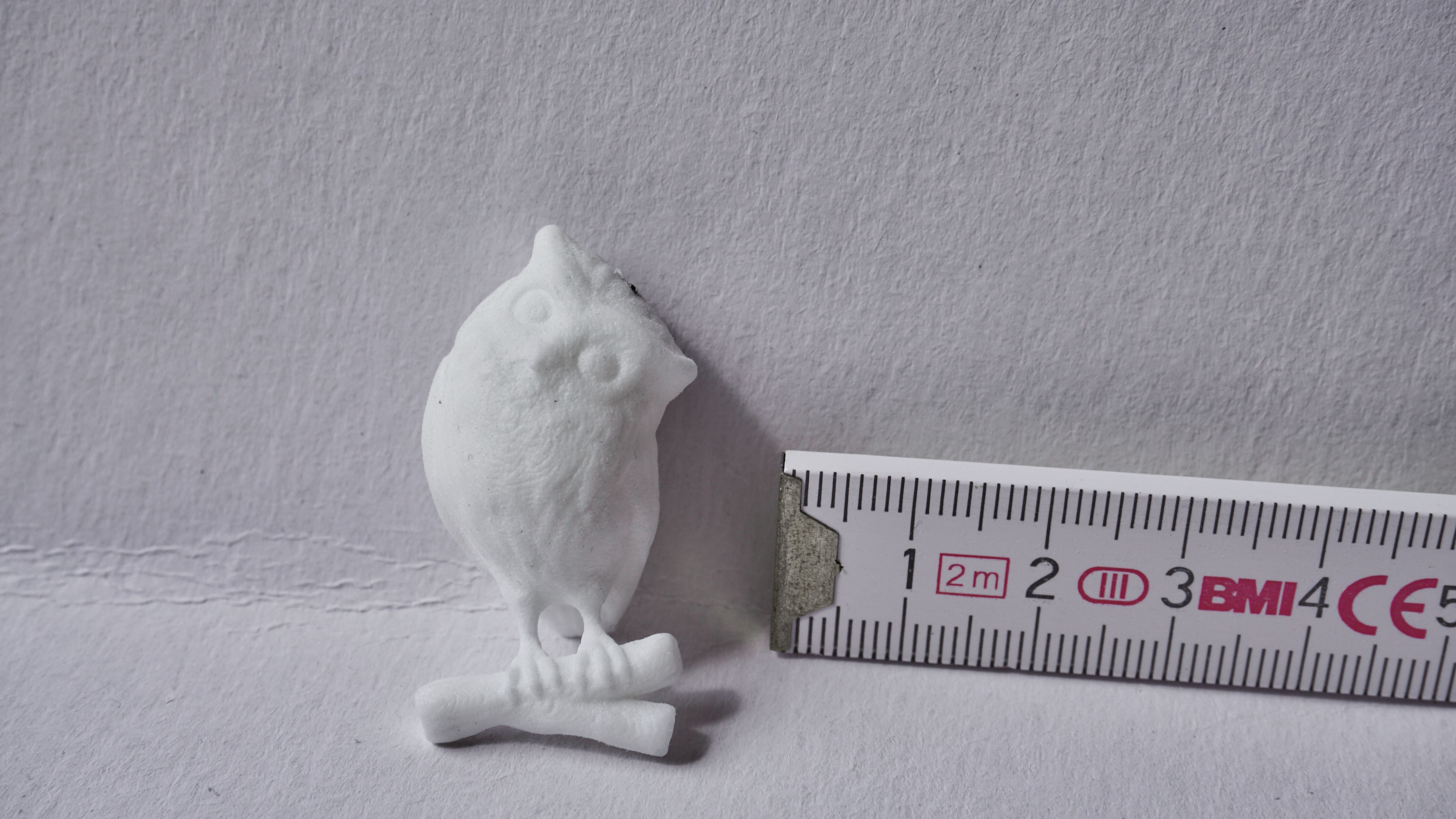 Johannes Mueller - Chocolate Owl