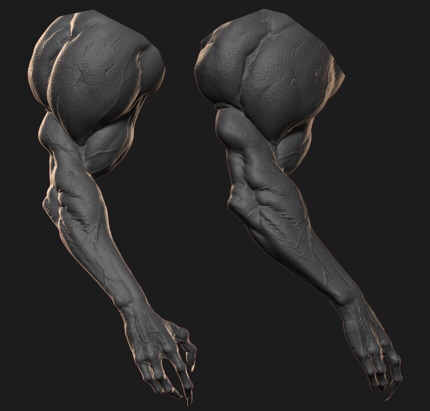 ArtStation - Arm study