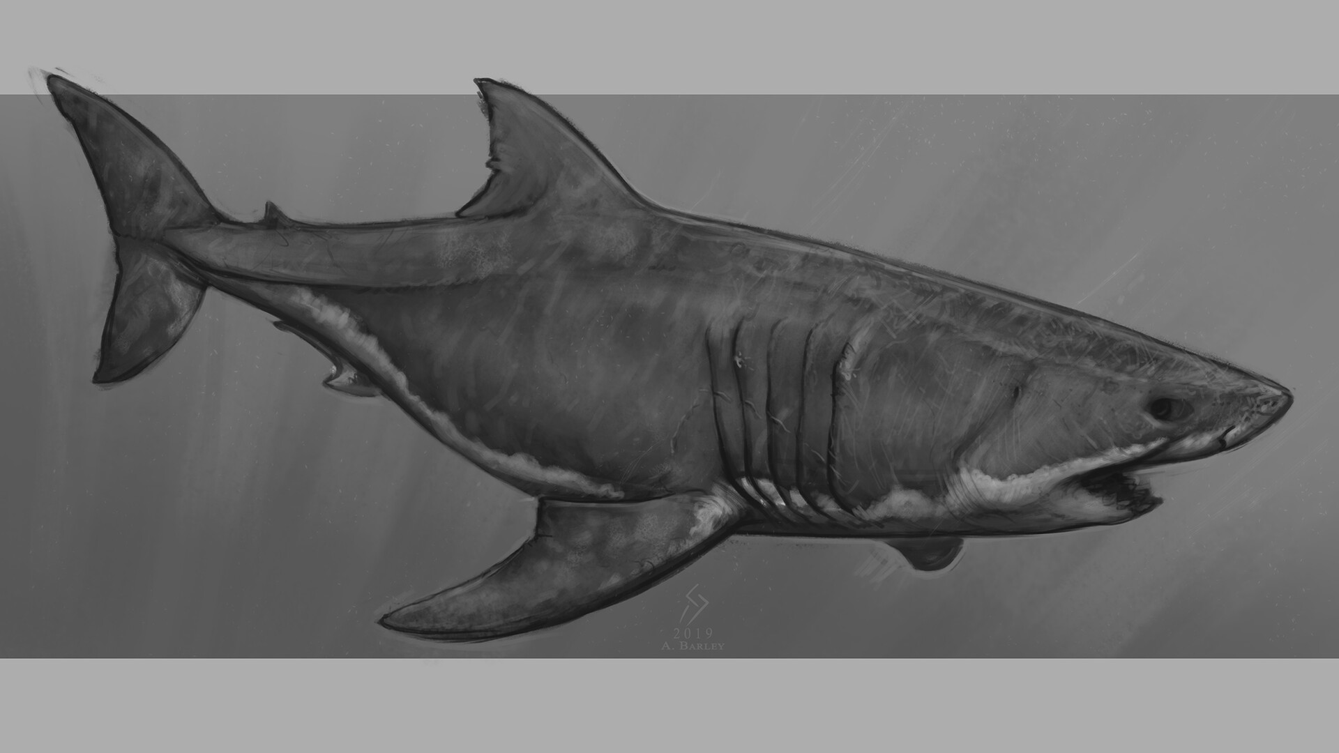 Alex Barley - Cruising