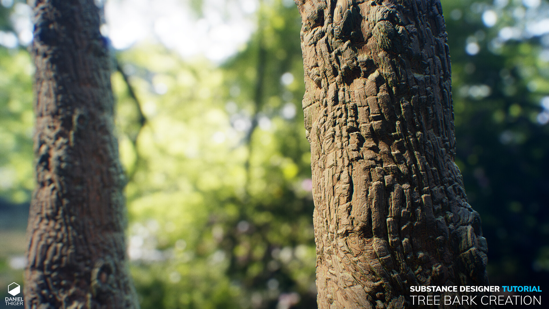 Daniel Thiger - Tutorial | Substance Designer | Creating Tree Bark