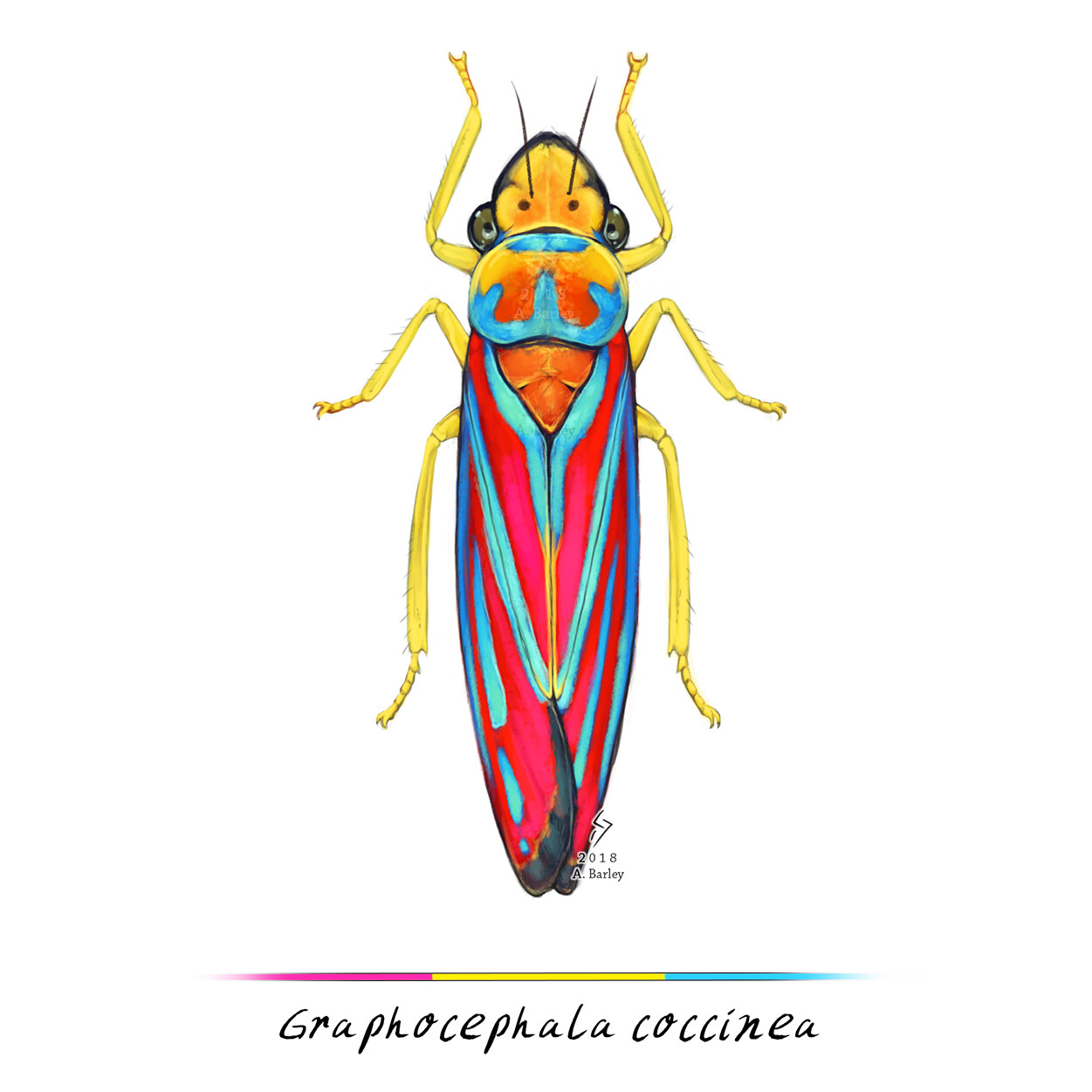 Alex Barley - Arthropod Pride