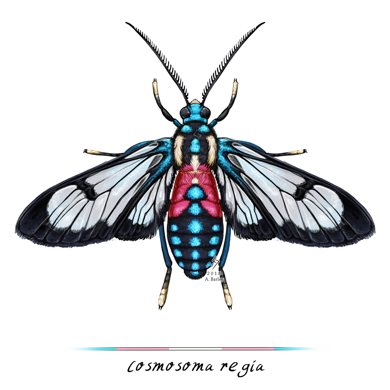 Alex Barley - Arthropod Pride