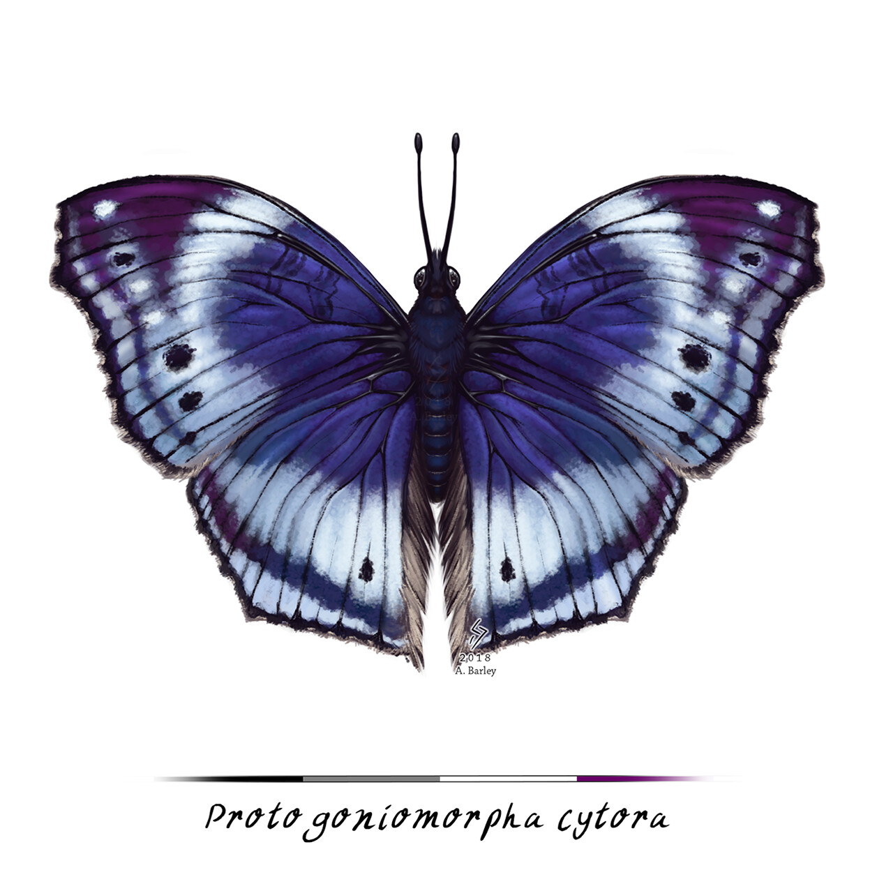 Alex Barley - Arthropod Pride