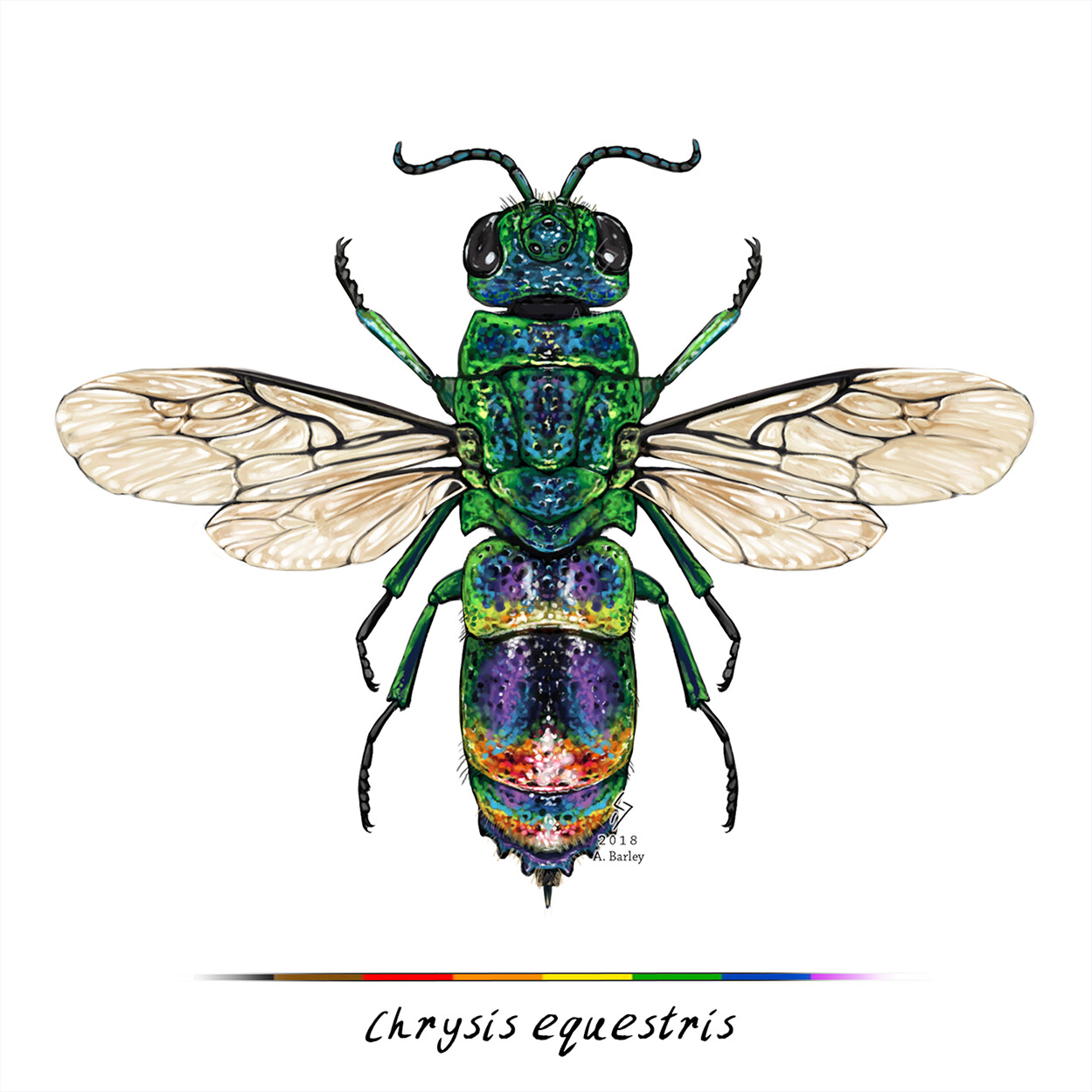 Alex Barley - Arthropod Pride