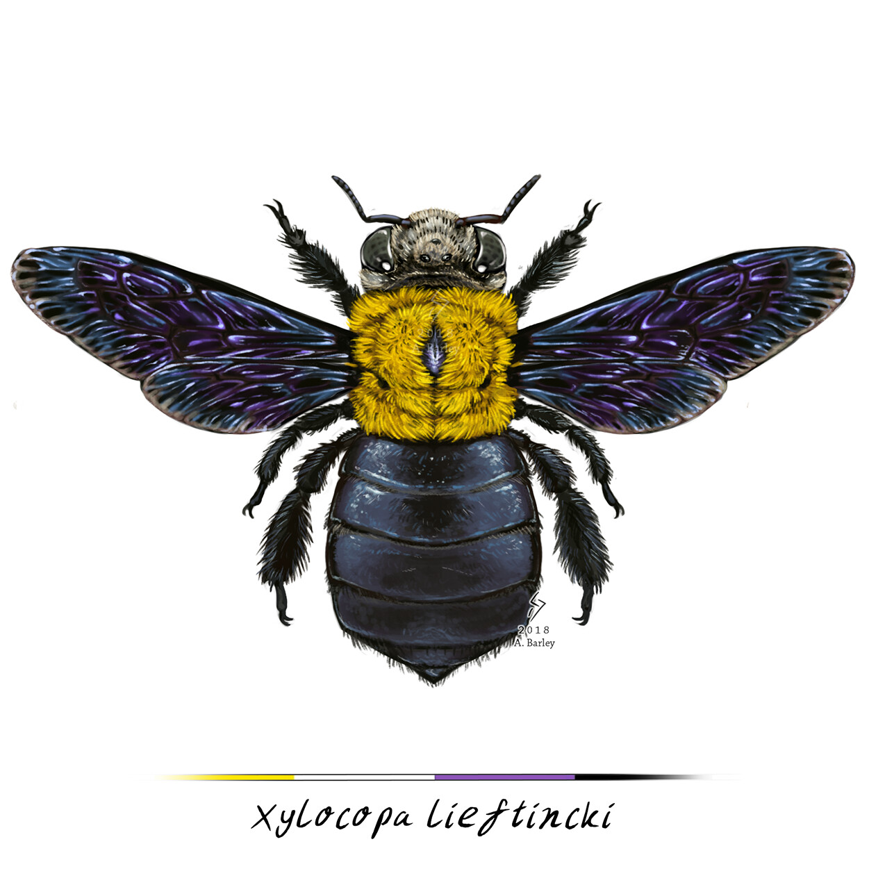 Alex Barley - Arthropod Pride