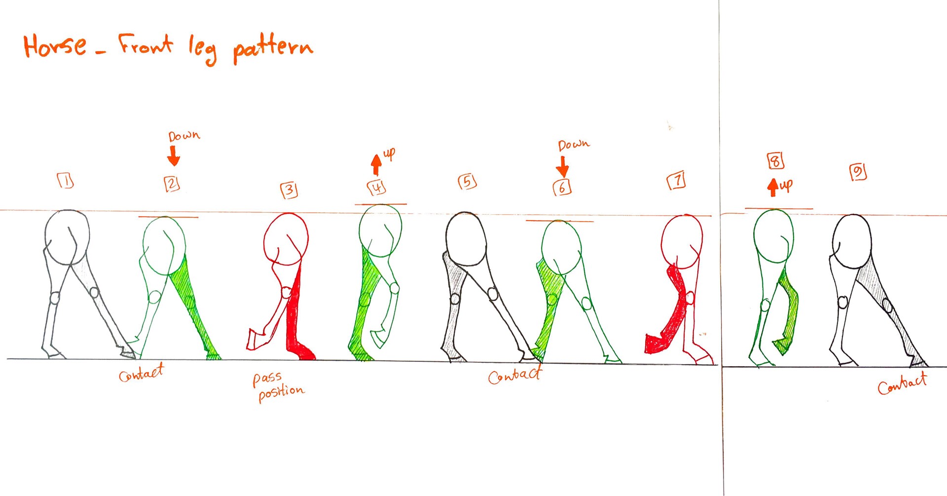 horse jumping animation reference