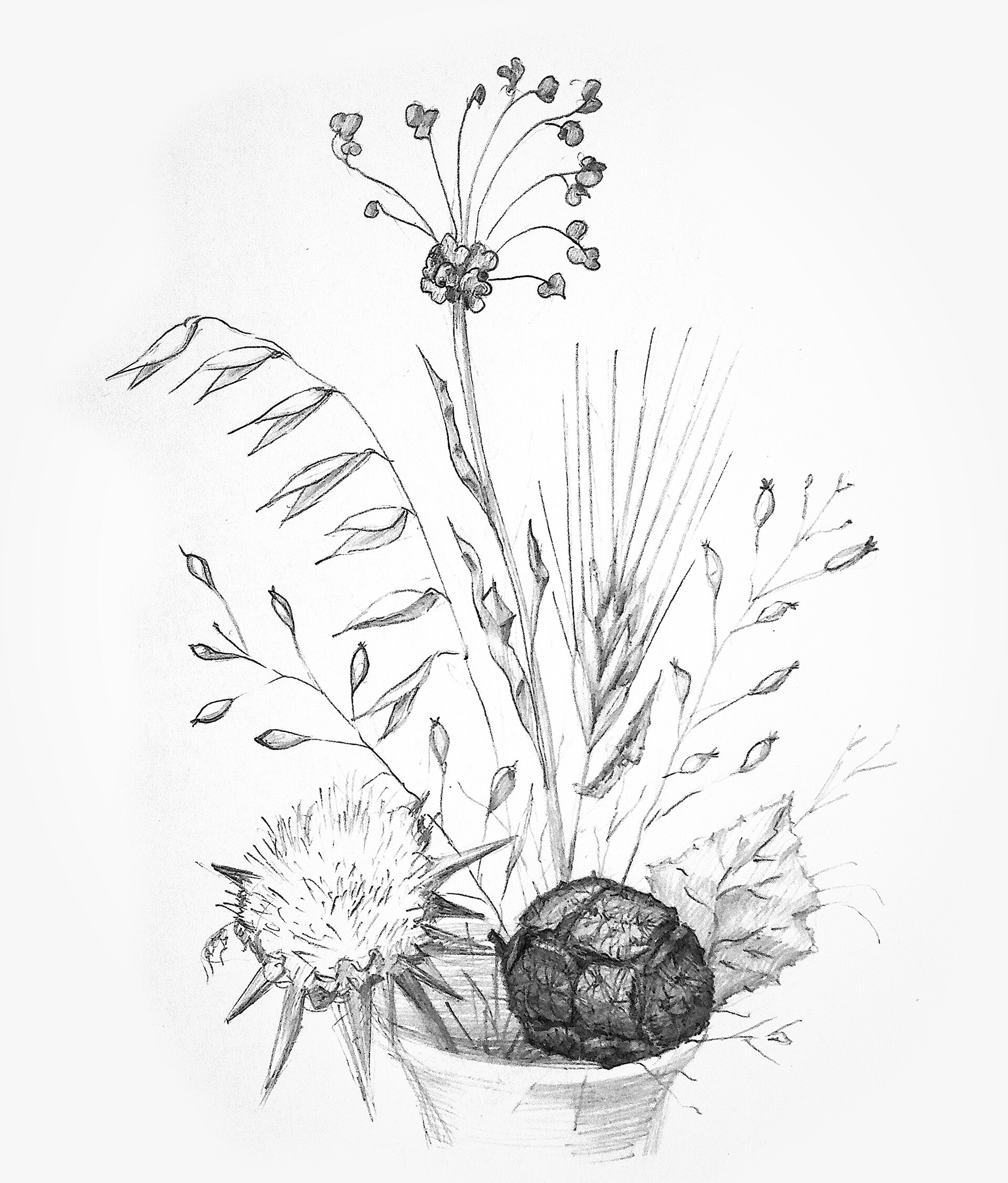 ArtStation - Bouquet of dry plants