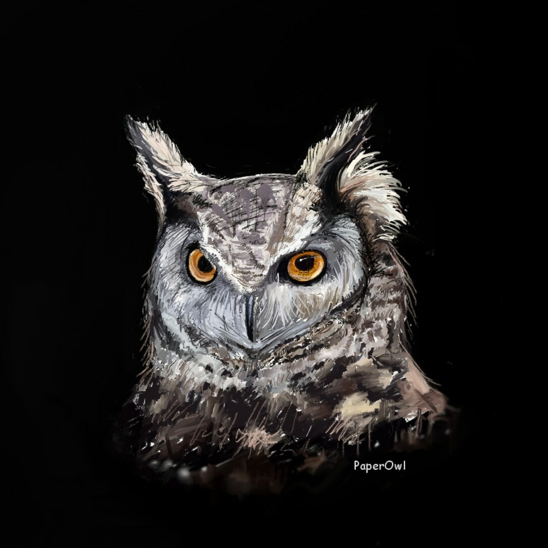 ArtStation - Owl