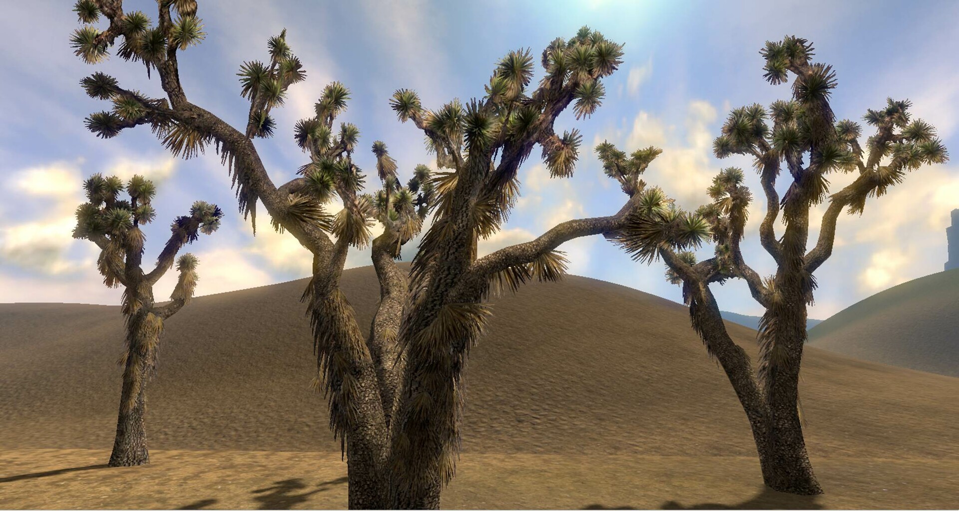 ArtStation - Joshua Tree Set: Elder Scrolls Online