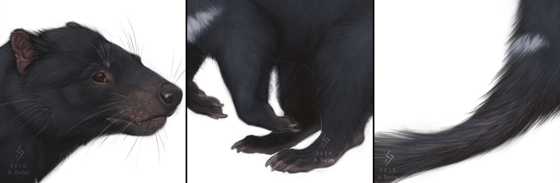 Alex Barley - Tasmanian Devil