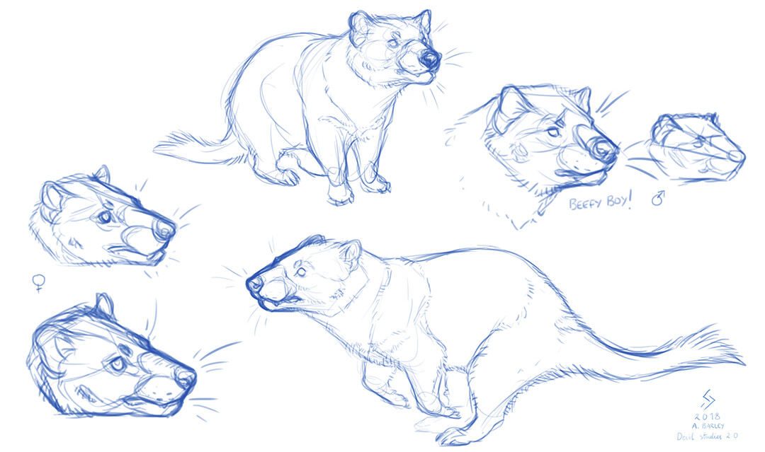 Alex Barley - Tasmanian Devil