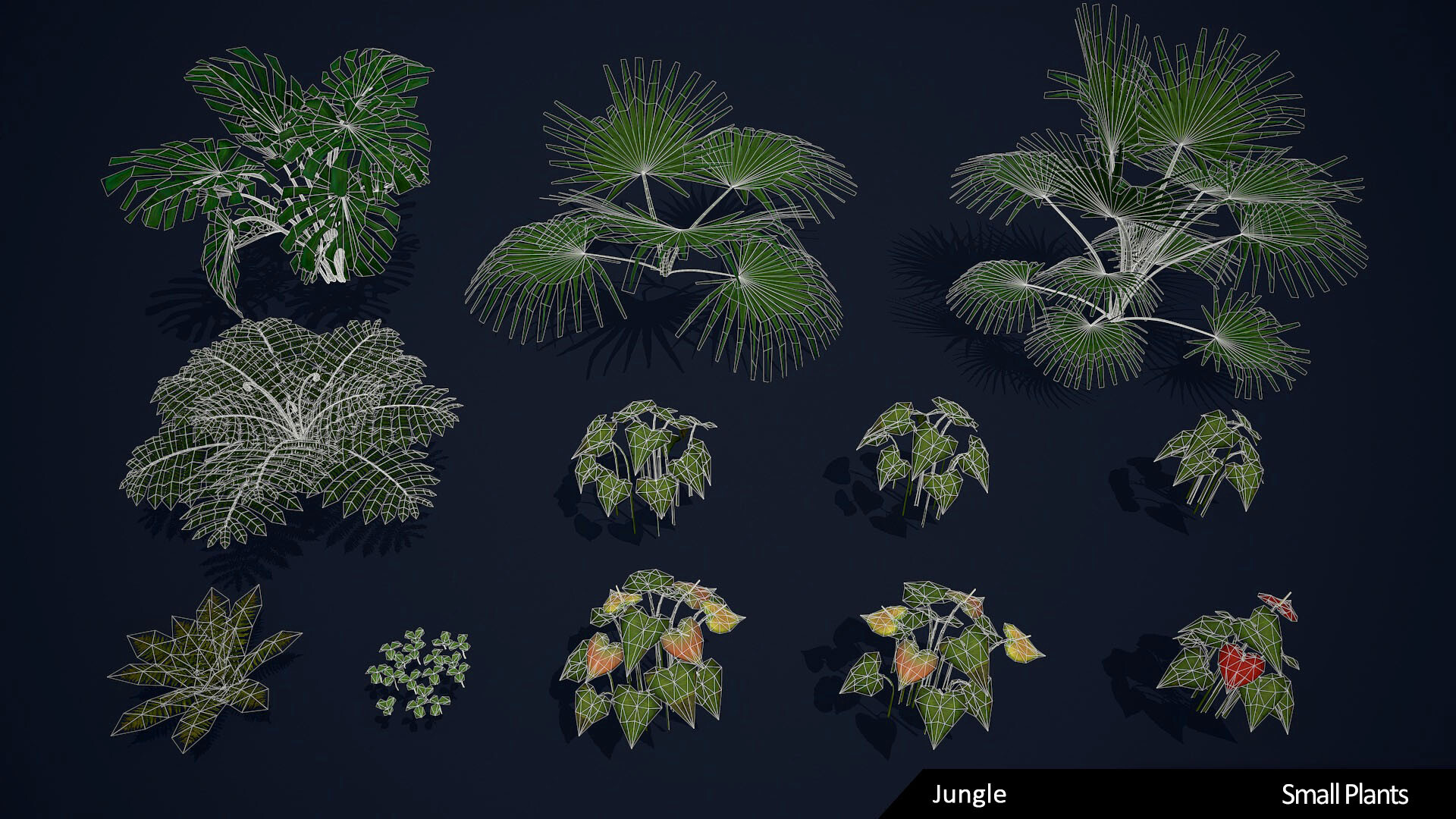 Raechel Martin - Jungle Plants