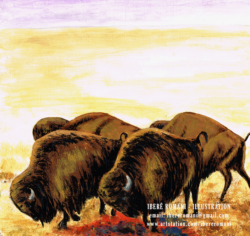 Ibere Romani - The story of the Buffalo Dance