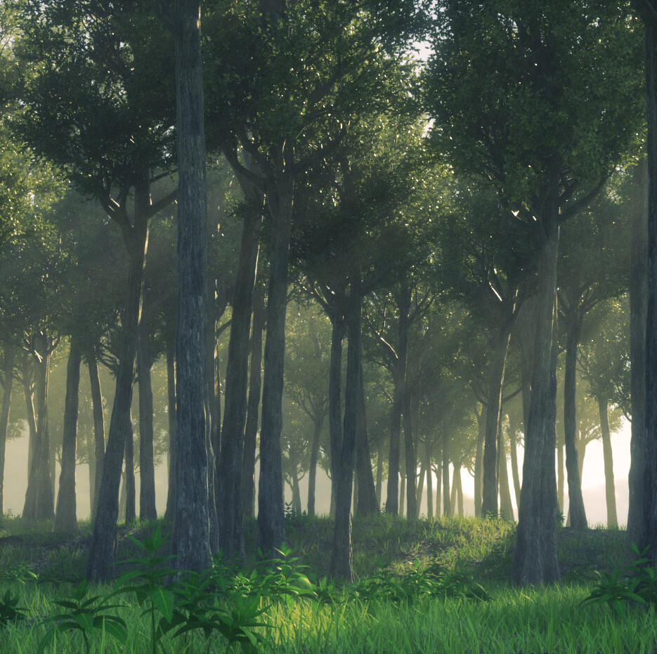 ArtStation - Forest