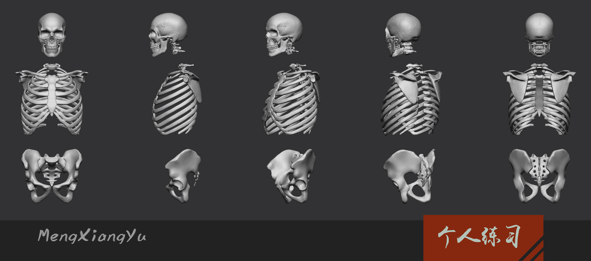 ArtStation - Human skeleton