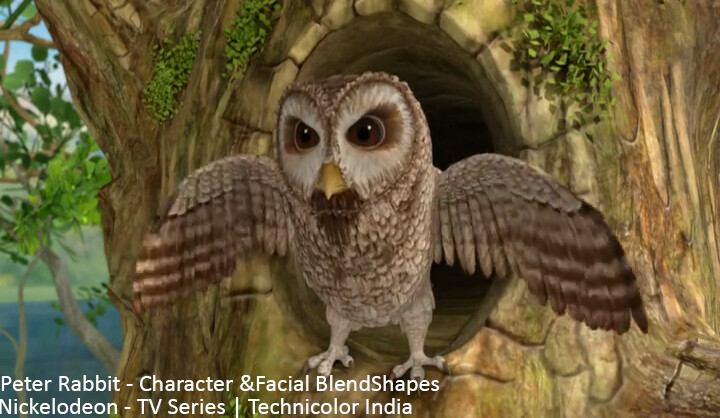 owl from peter rabbit