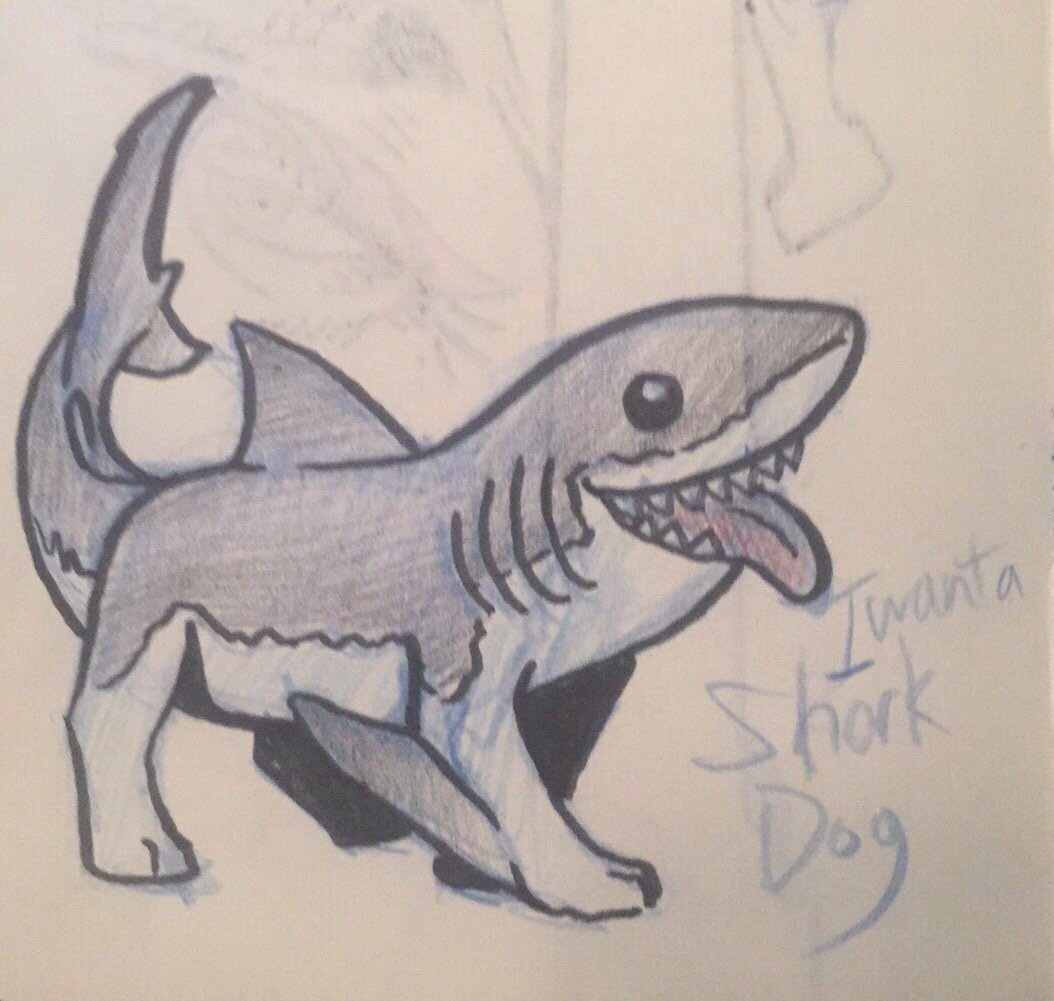 Dogfish Shark Drawing