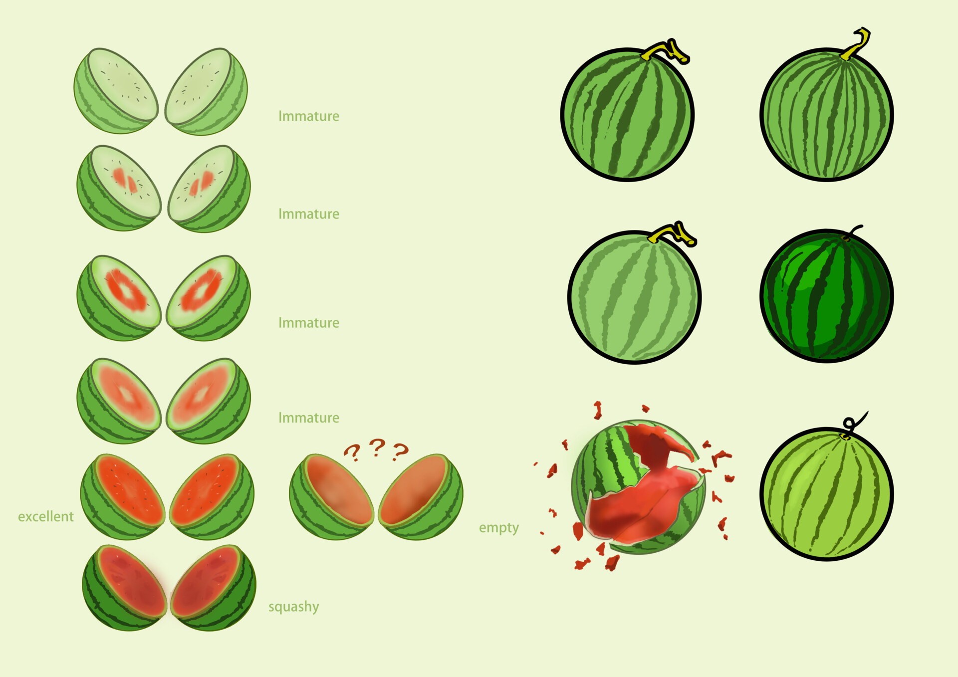 ArtStation - watermelon in different states
