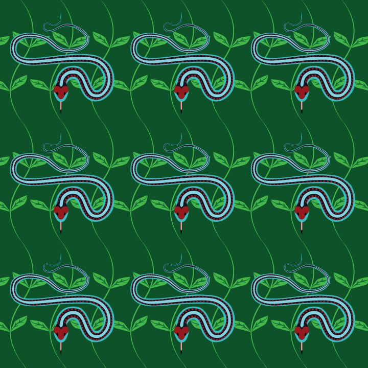 Rayne Ame - Snake: Pattern