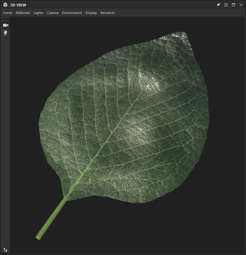 ArtStation - leaf ( Textures & Materials )