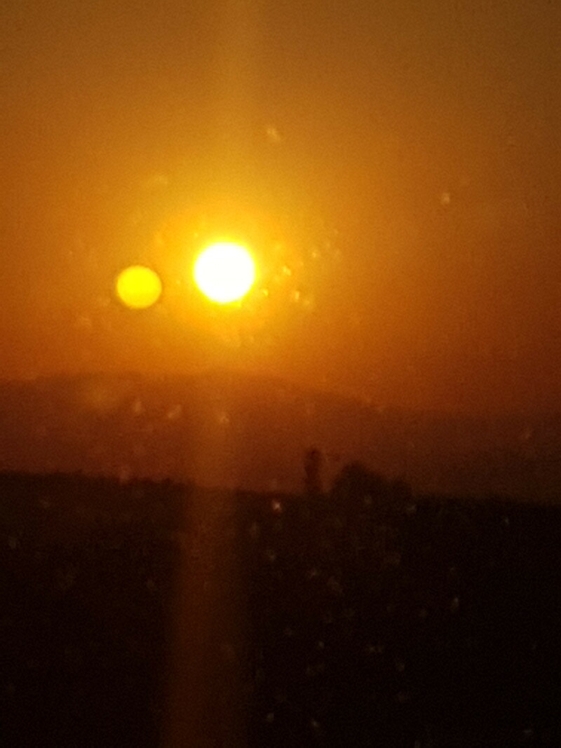 ArtStation - Maria Best