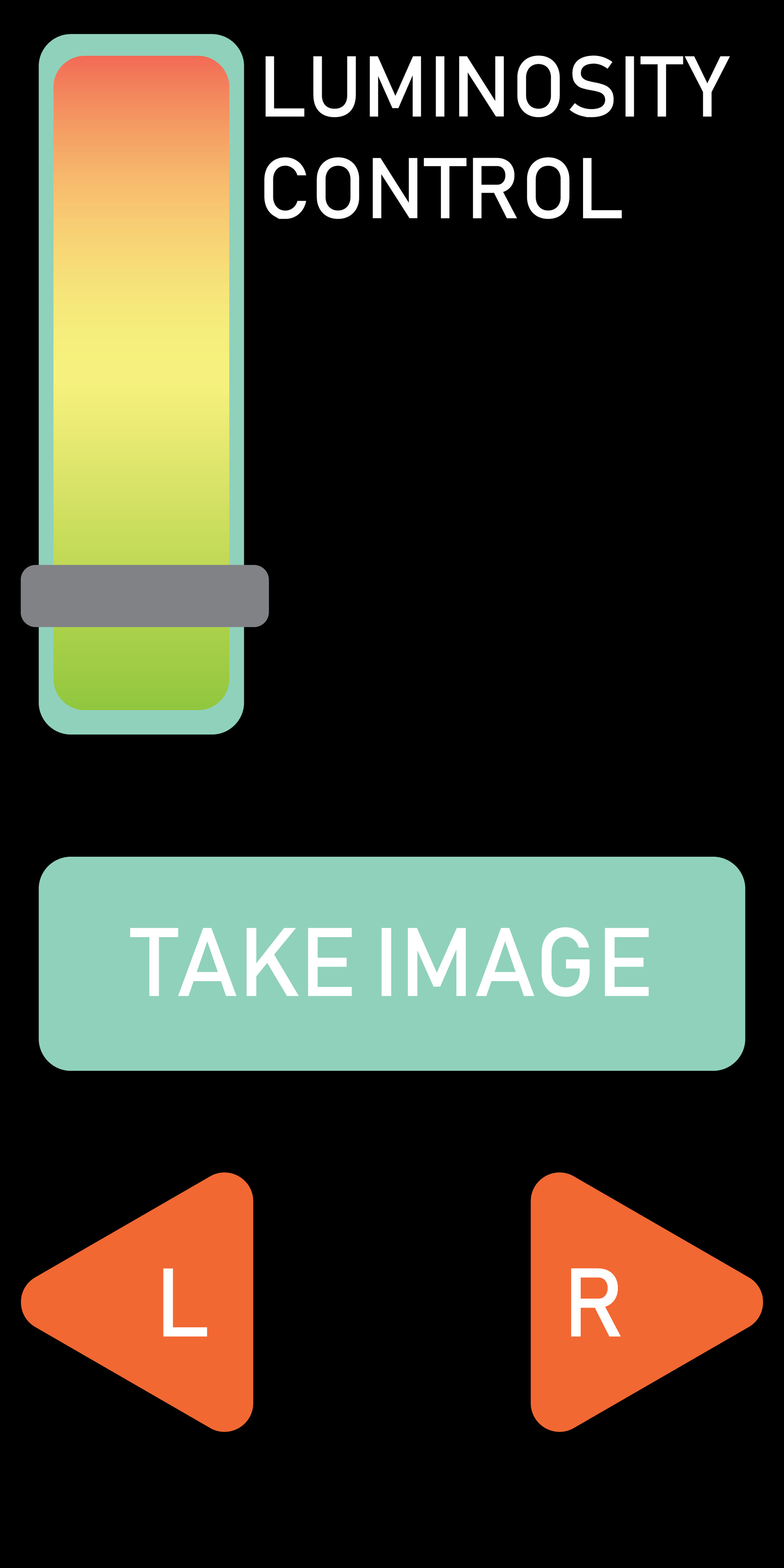 Nick Searle - Botanical Study Cylinder