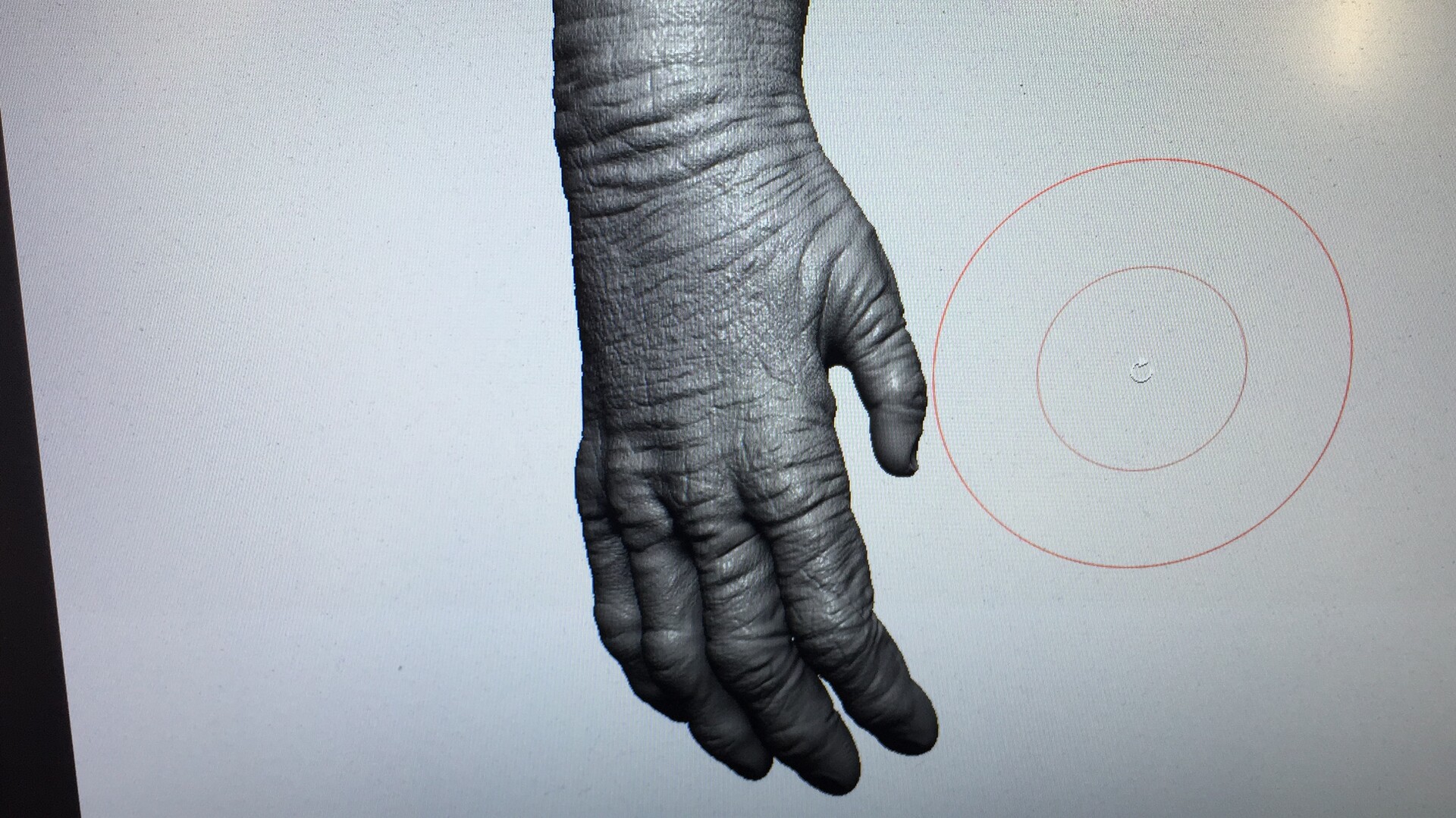 Aritz Basauri - Chimp