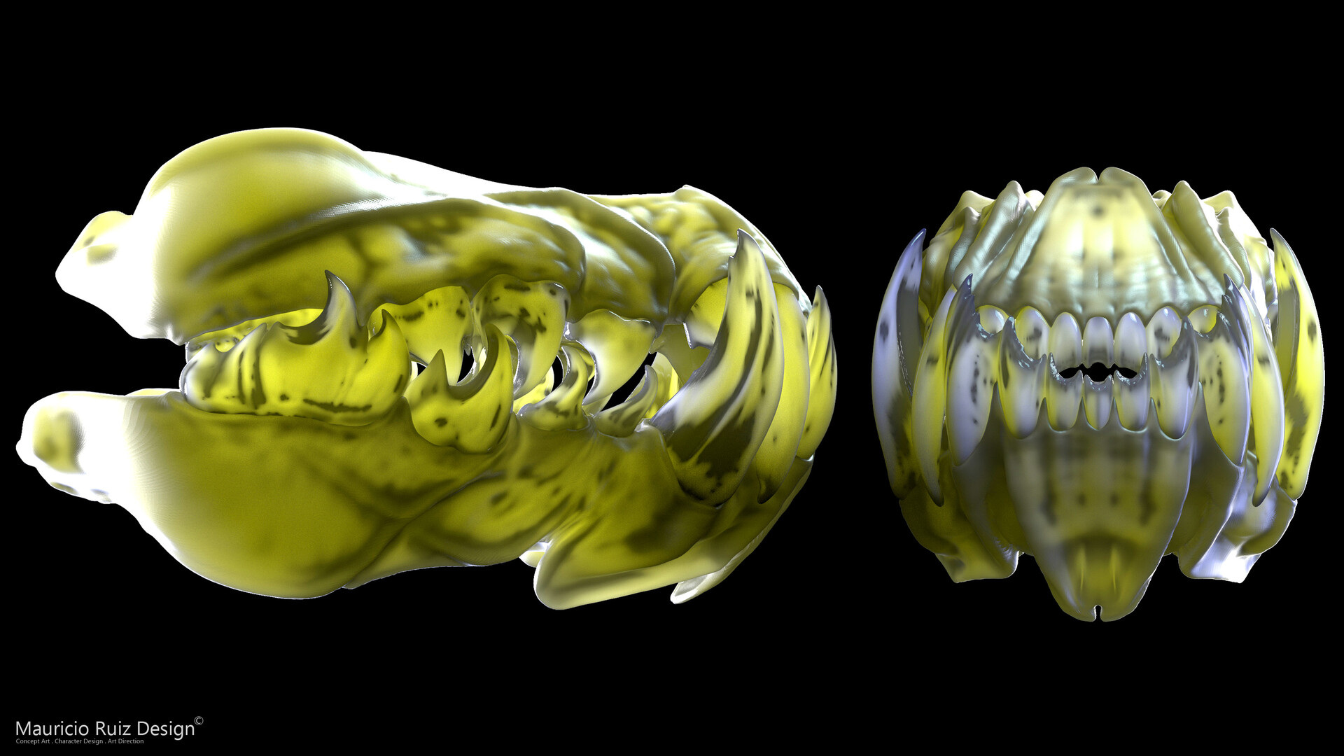 Mauricio Ruiz Design - The Demon Fish - Specimen - Teeth