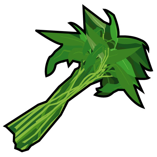 Kangkong Drawing