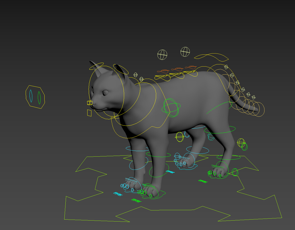 Mercedes Betegon - Rig cat