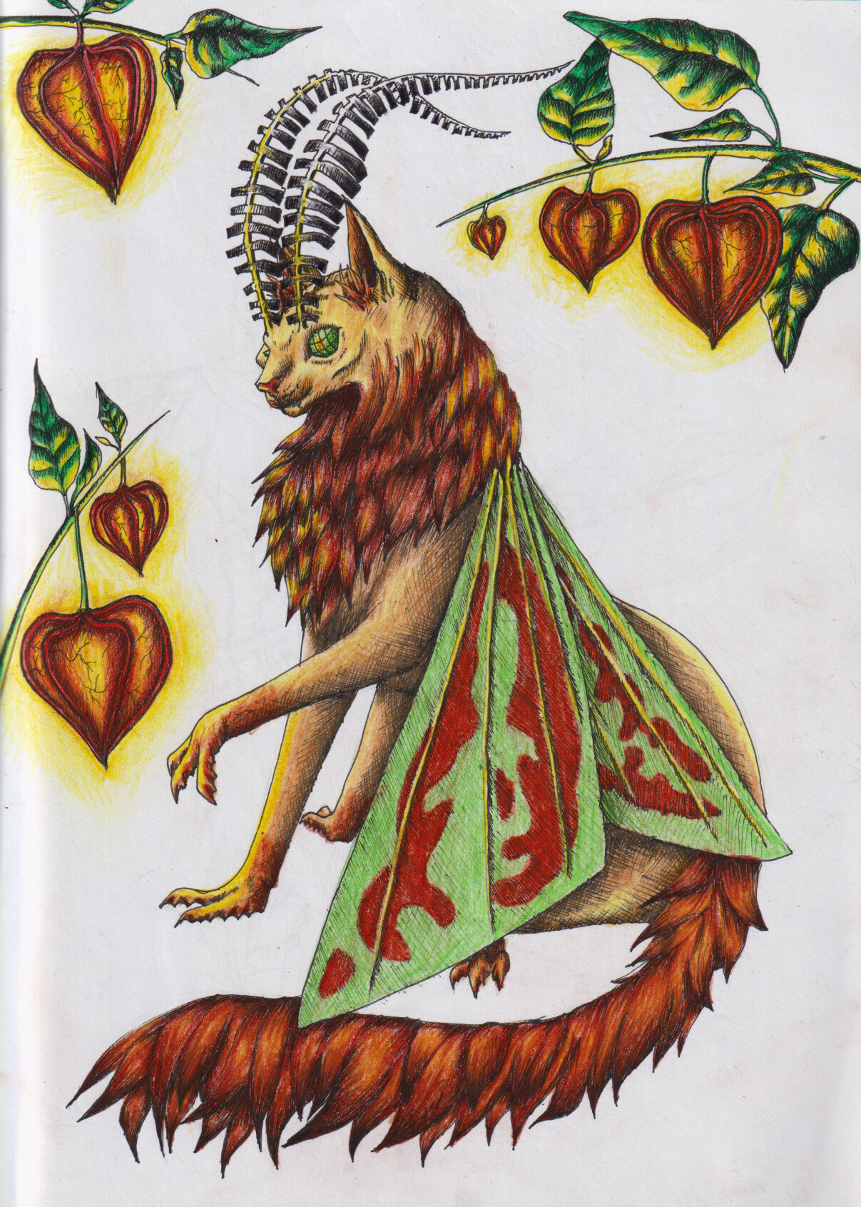 ArtStation - Hybrid cat and moth