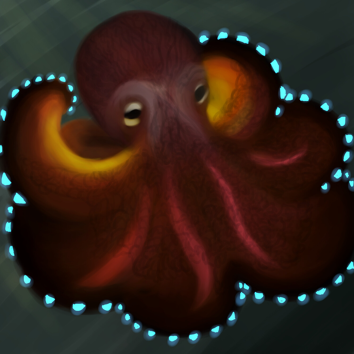 Glow Octopus