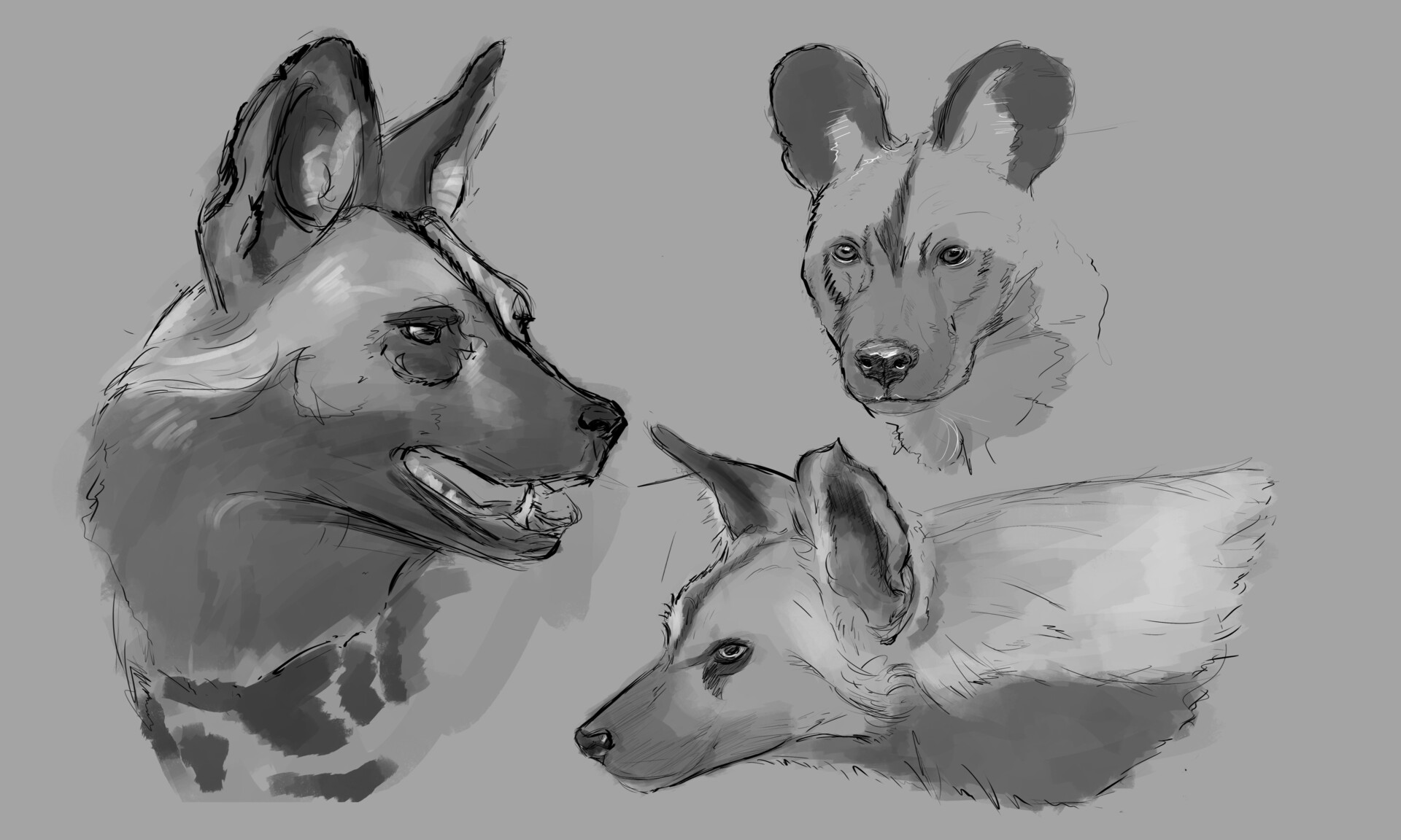 ArtStation - Wild Dogs Doodles