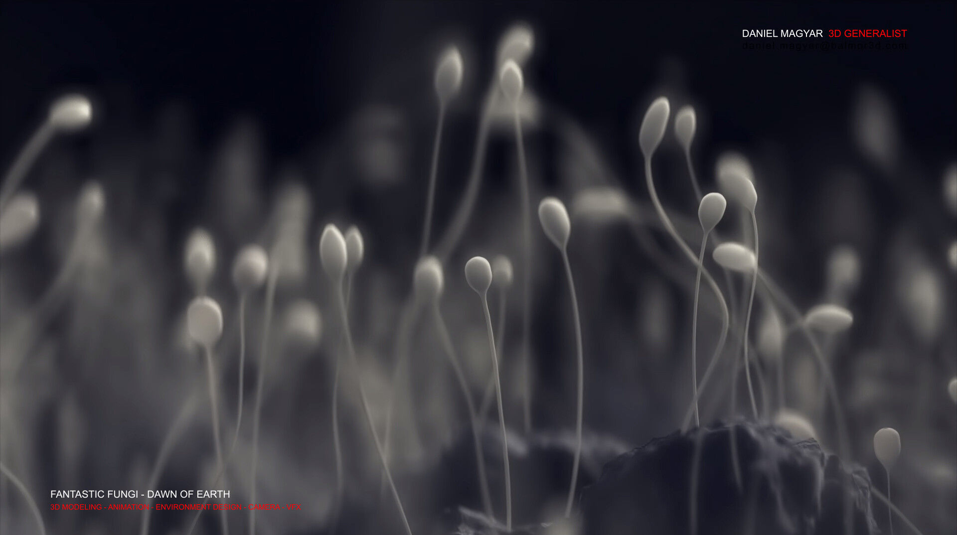 ArtStation - FANTASTIC FUNGI - Animated Mycelium macro shot