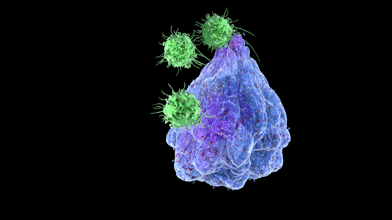 Jay Sanchez - Assorted Medical Imaging - cells