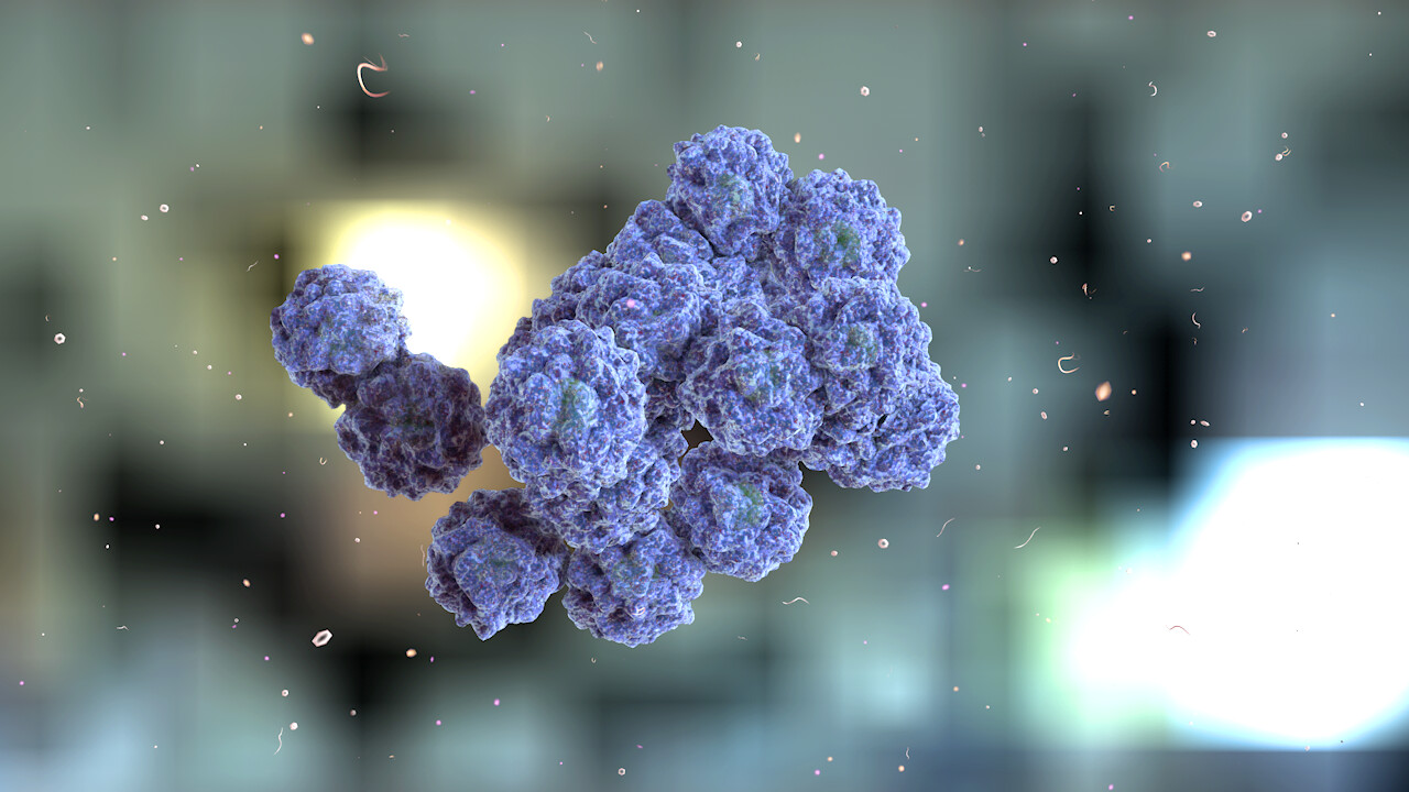 Jay Sanchez - Assorted Medical Imaging - cells