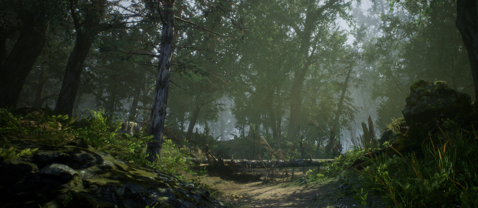 ArtStation - forest created in Unreal Engine