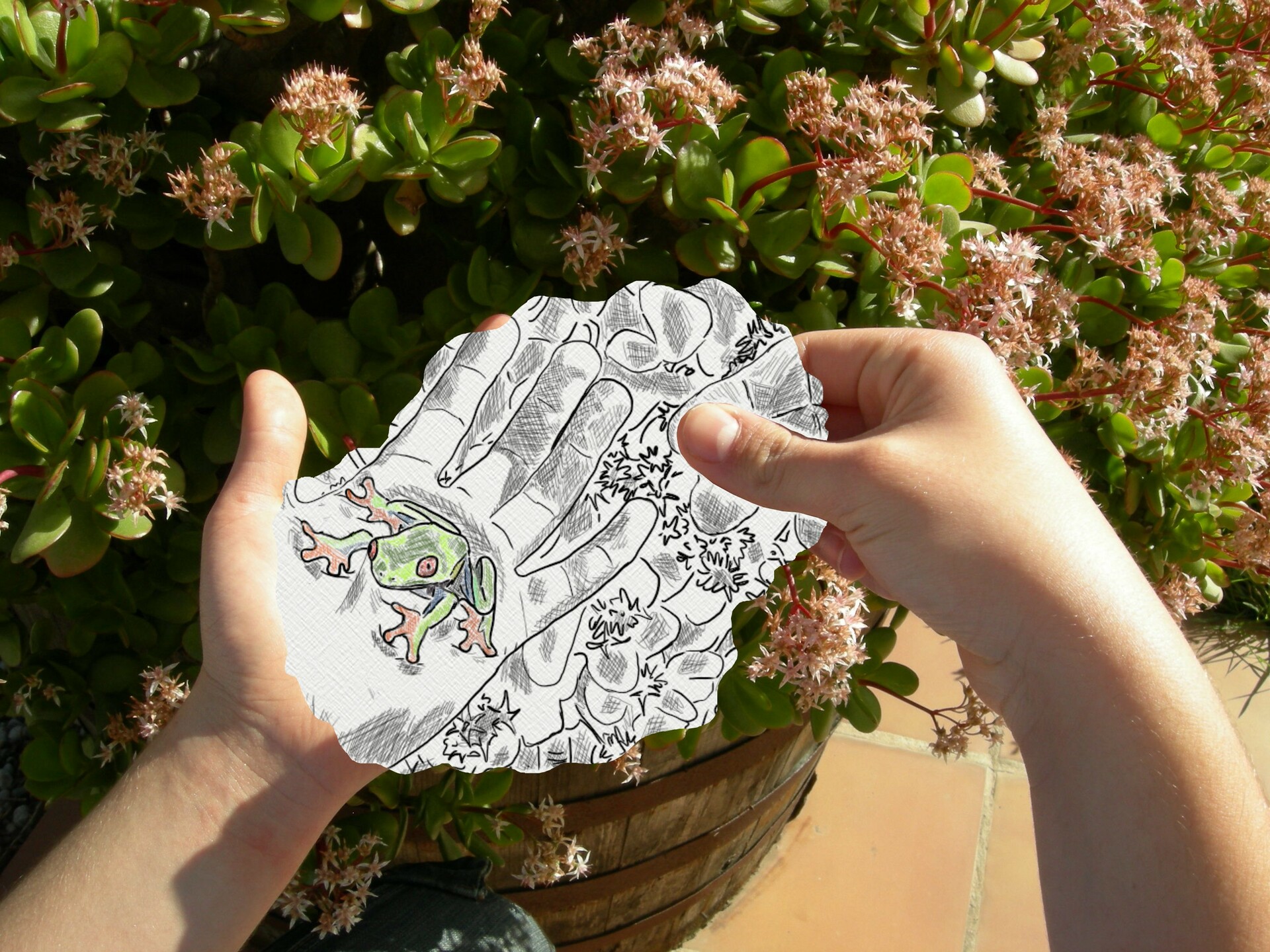 Real Drawings In Real Life