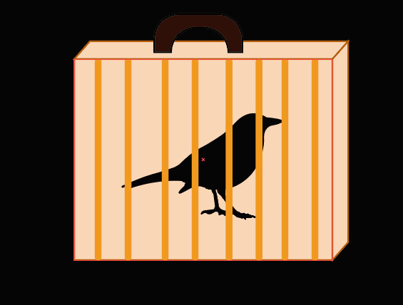 ArtStation - Bird Box