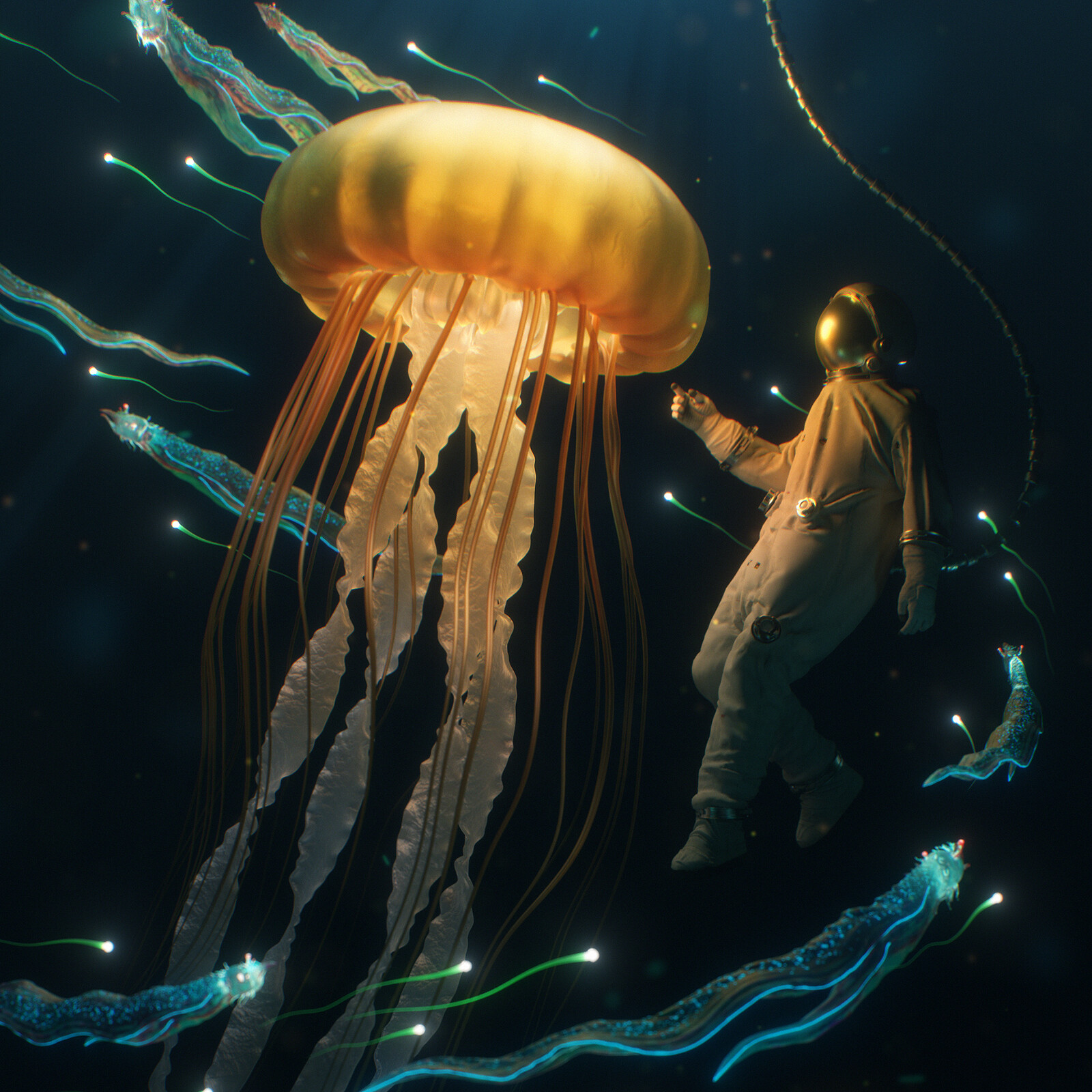 Marcelo Vaz - First Touch