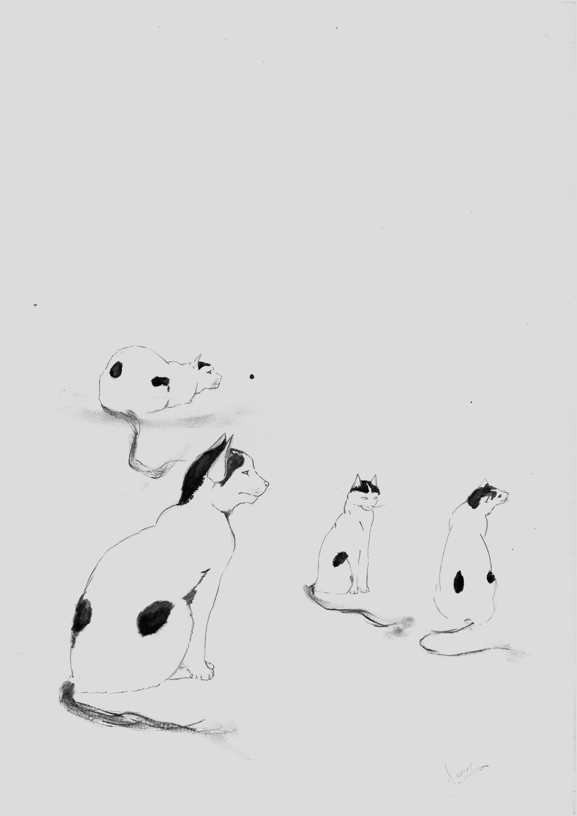 Jean Marques - Sentidos