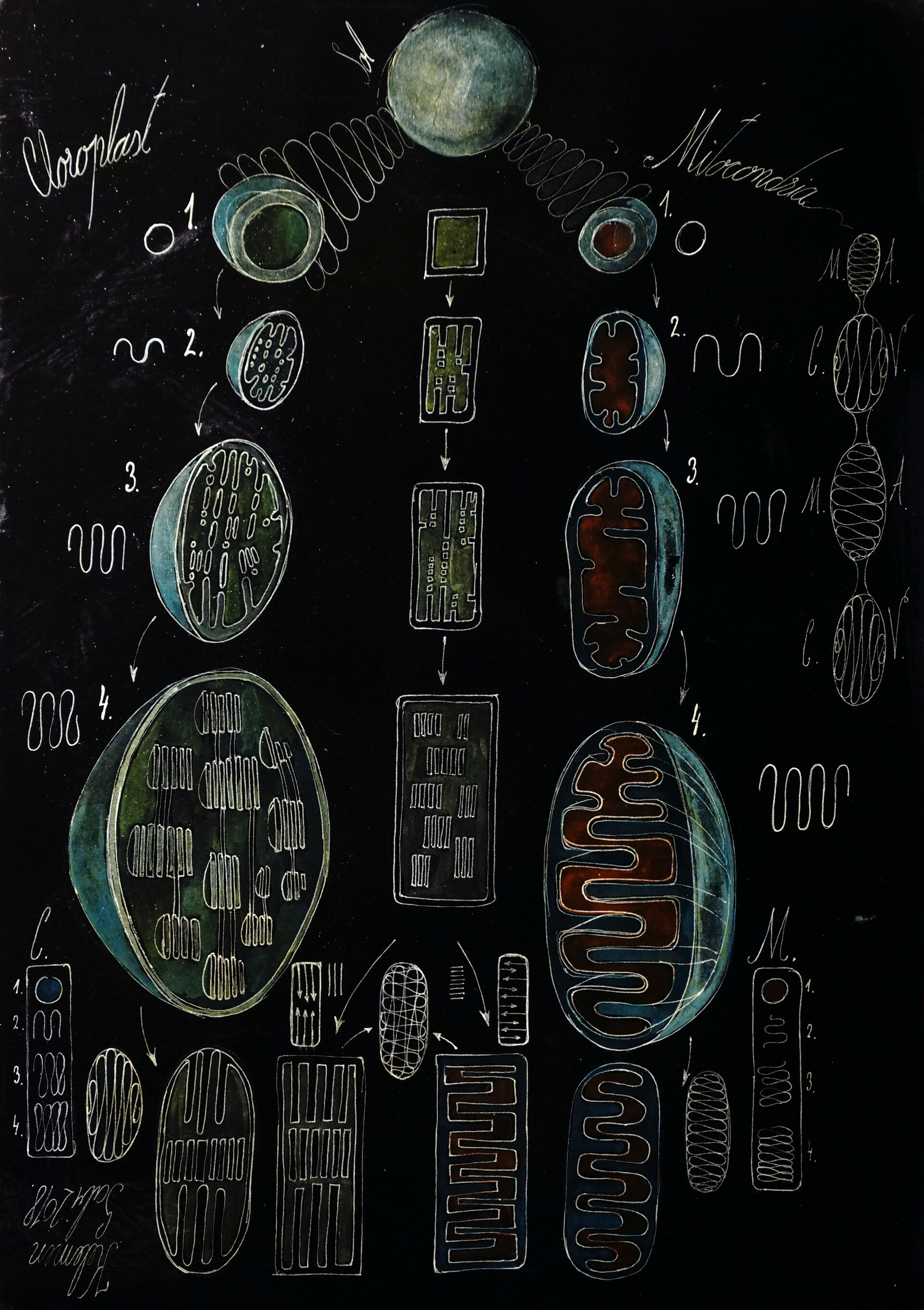 ArtStation - Light biosphere