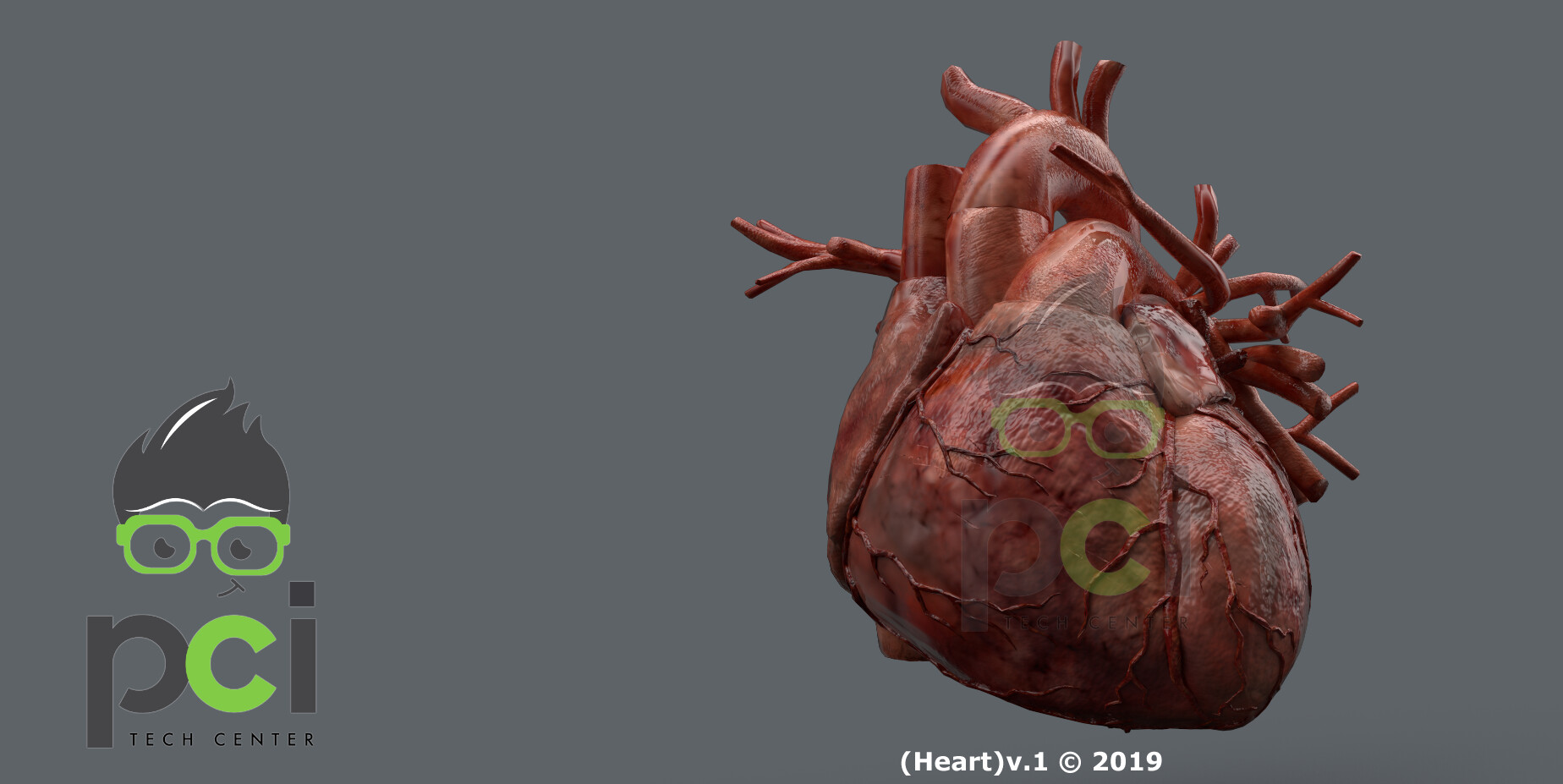 PCI Tech Center / Seaversity - Heart